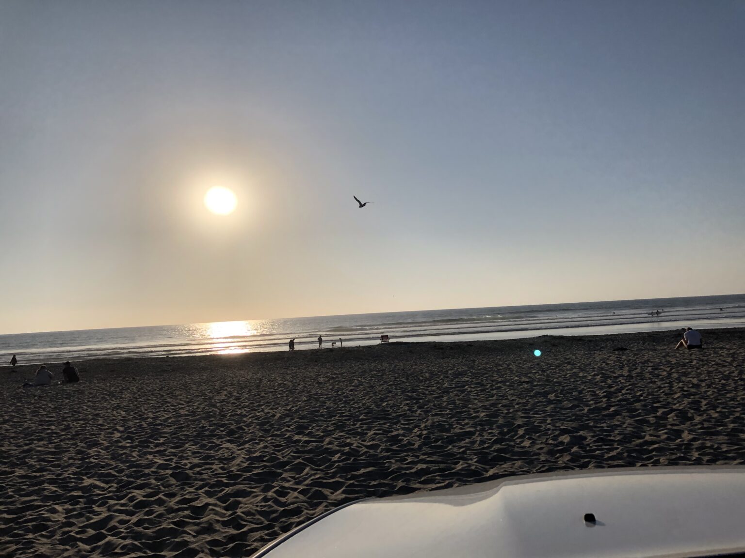 Cardiff Reef Surf Spot Review - Go Surfing SD!