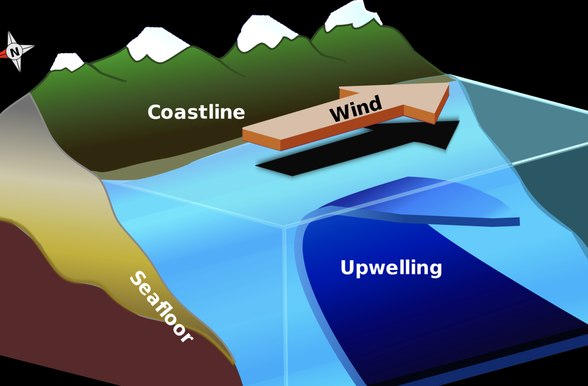 Upwelling in San Diego: A Coastal Phenomenon - Go Surfing SD!